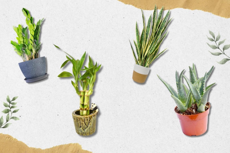 30 Best Gifts For Interns That They'll Truly Appreciate