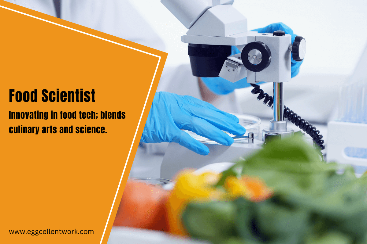 The 45 Best Paying Jobs That Are Fun