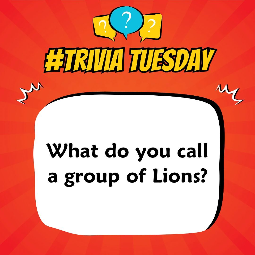 28 Creative Team Building Over Zoom Ideas