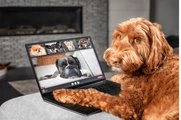 10 Fun Ways to Start a Meeting on Zoom: Engaging Ideas to Energize Your ...