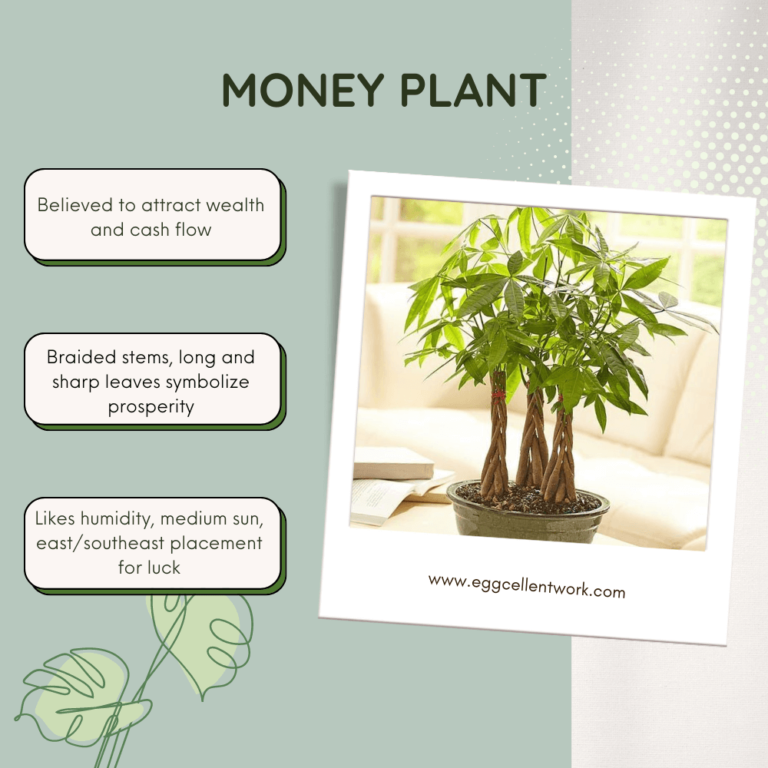 17 Lucky Plants to Bring Good Fortune to Your Office Desk
