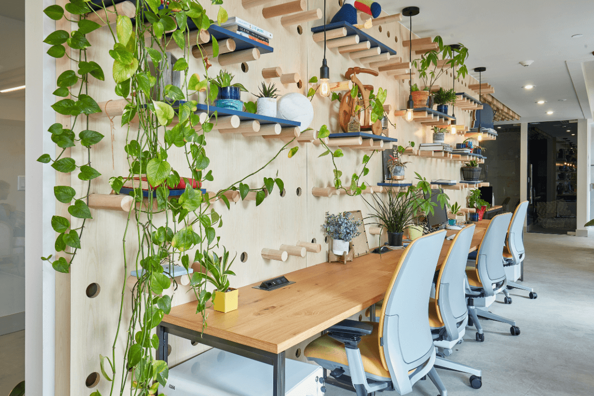 17 Lucky Plants to Bring Good Fortune to Your Office Desk