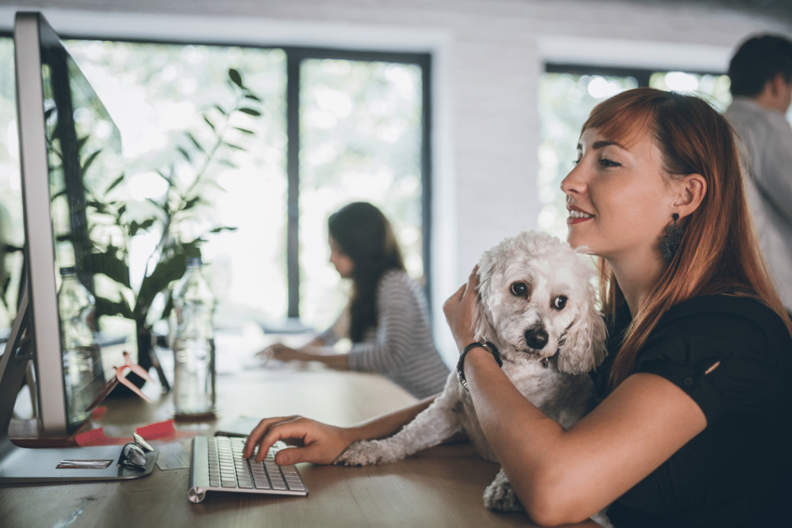 42 Excellent Employee Wellness Ideas That Don't Break the Bank