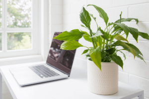 25 Job Promotion Gifts That Make Them Go WOW