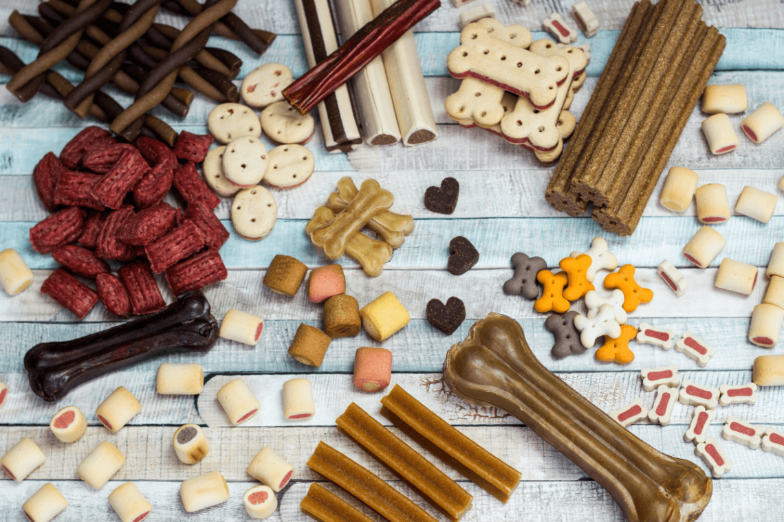 Paws-itively Perfect: 10 Fun Activities for National Take Your Dog to ...