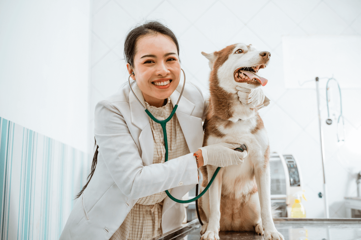 Paws-itively Perfect: 10 Fun Activities for National Take Your Dog to ...