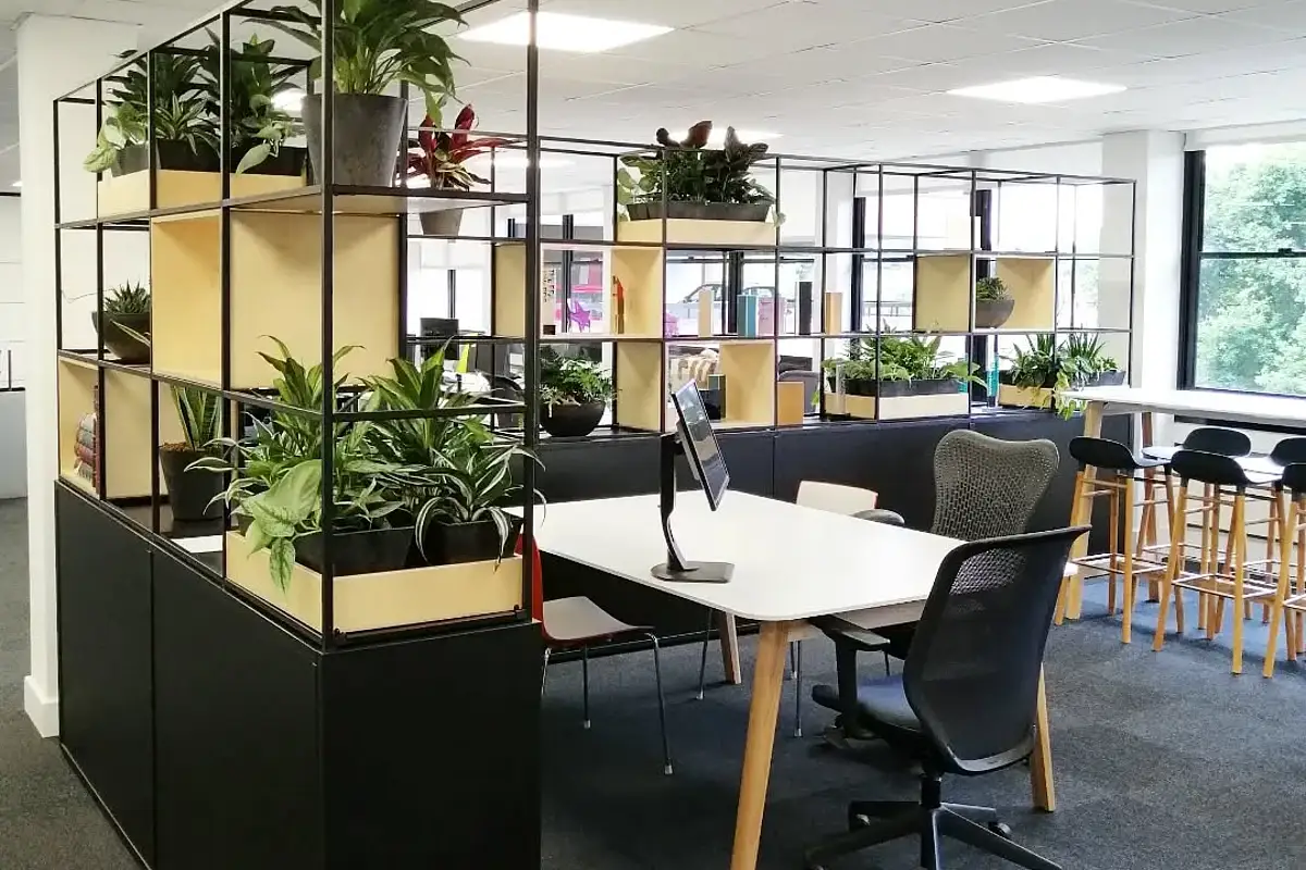 11 Incredible Indoor Office Plants That Improve Air Qaulity and Boost ...